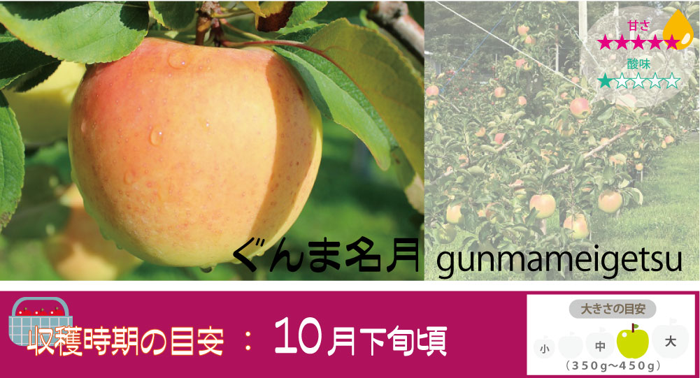 ぐんま名月/青森りんご｜まさひろ林檎園